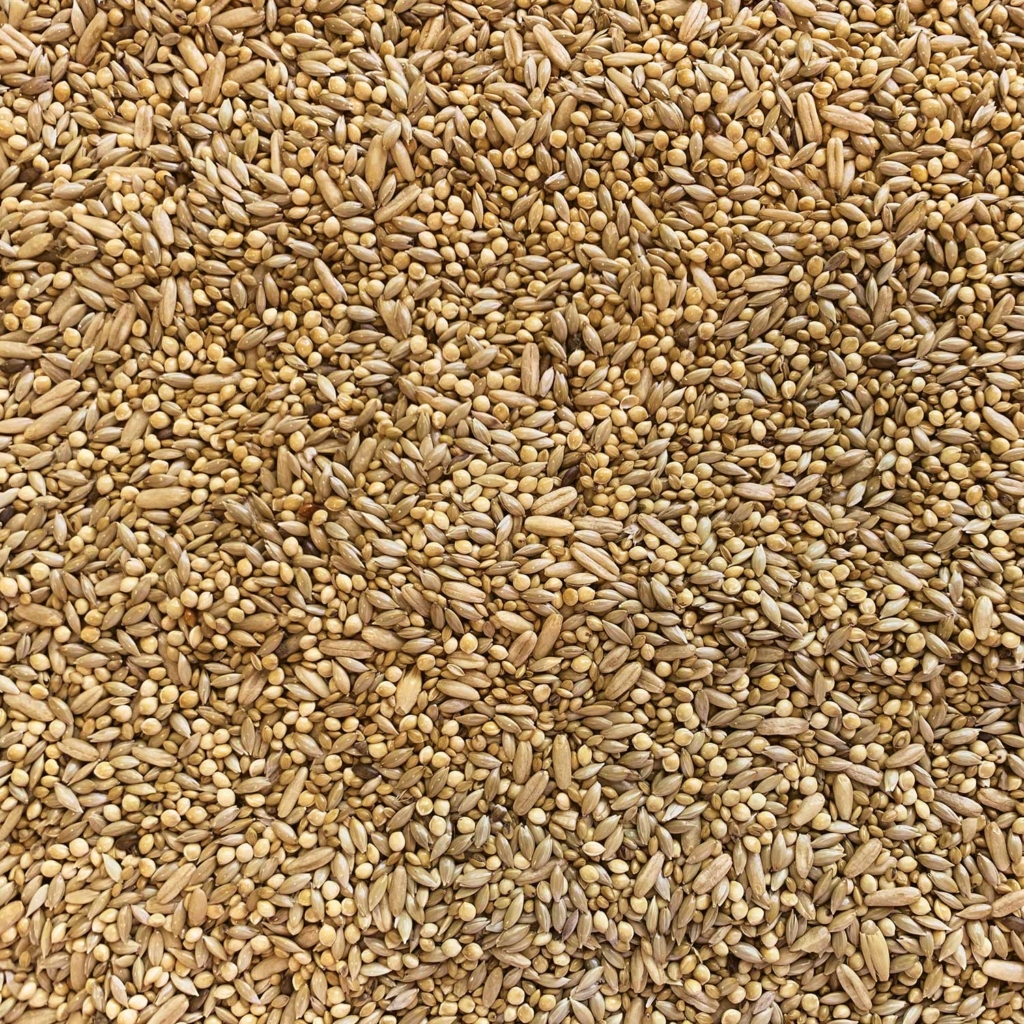 Tui Budgie Bird Seed Mix - Birdseed.co.nz