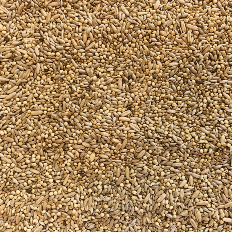 Tui Budgie Bird Seed Mix - Birdseed.co.nz
