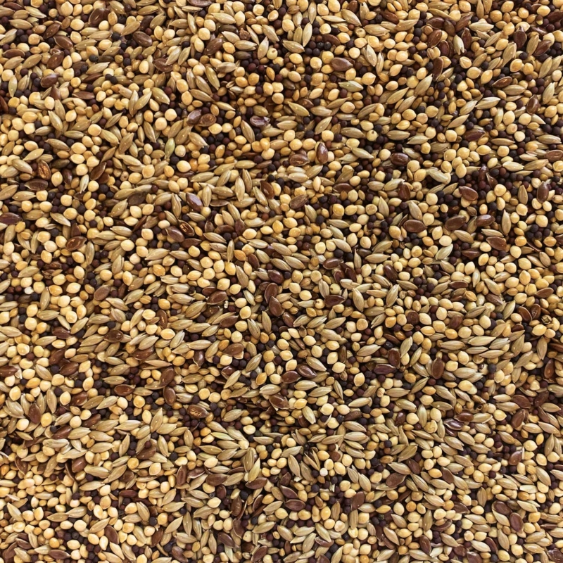 Tui Canary Bird Seed Mix - Birdseed.co.nz