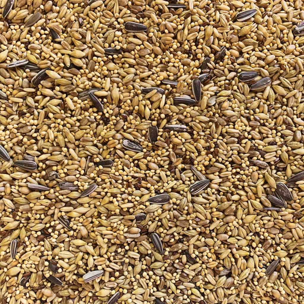 Tui Cockatiel Bird Seed Mix - Birdseed.co.nz