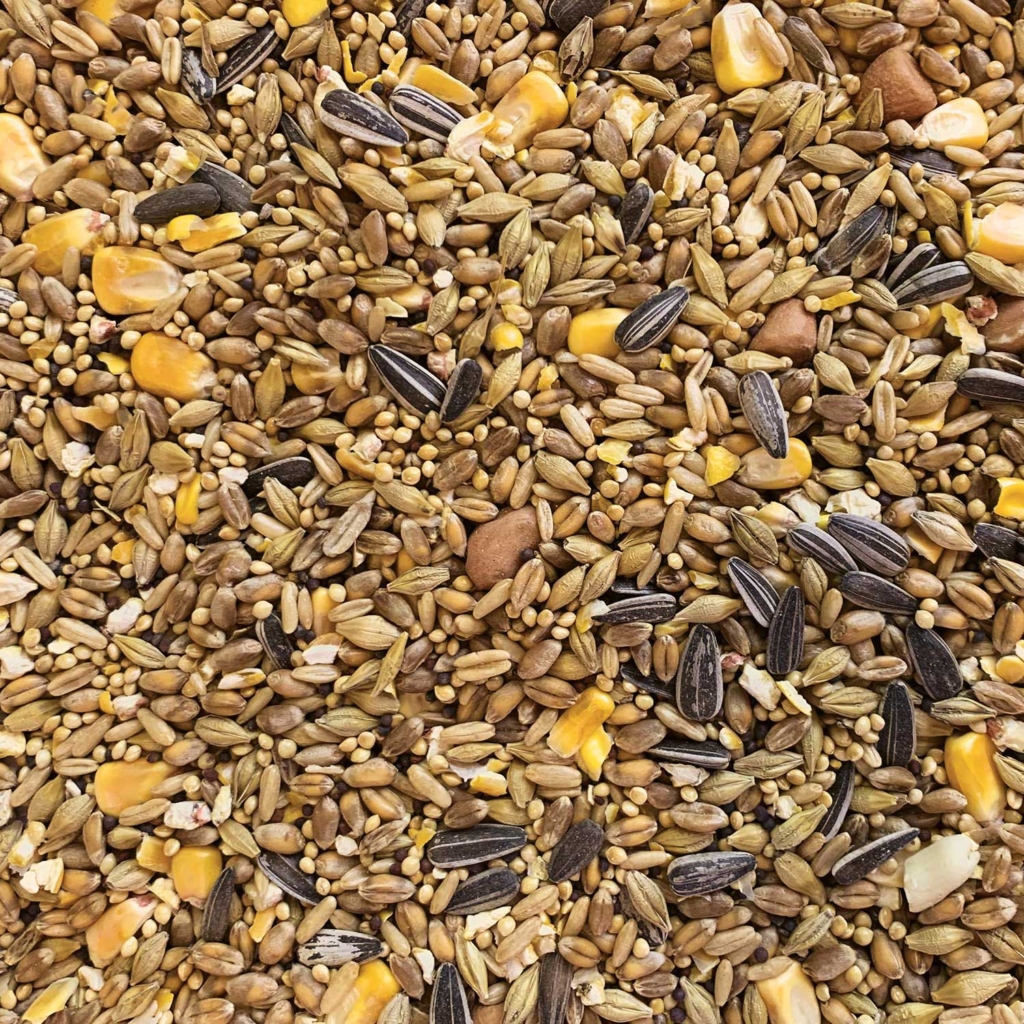 Tui Parrot Bird Seed Mix - Birdseed.co.nz